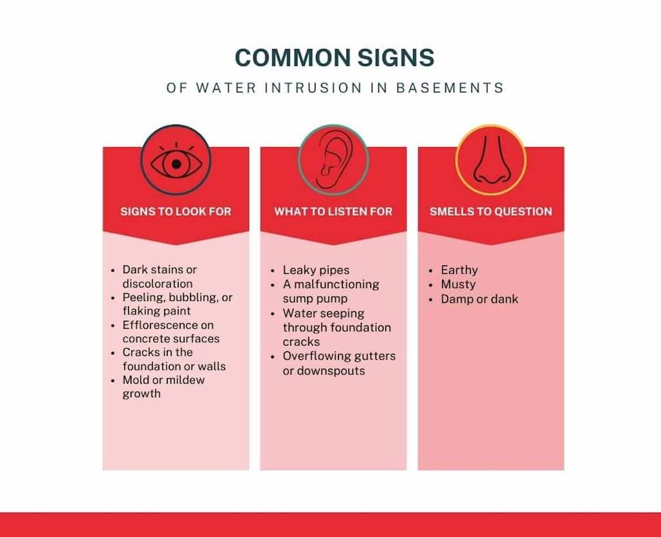 What Allows Water into a Basement and How to Prevent It - Buckeye ...