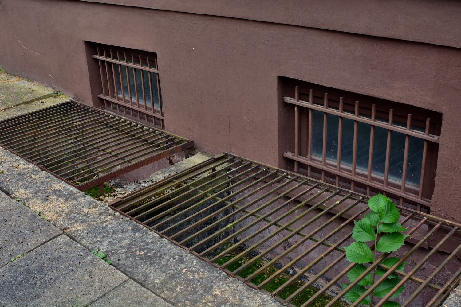 4 Major Reasons You Need Window Covers in a Basement - Buckeye Basement ...